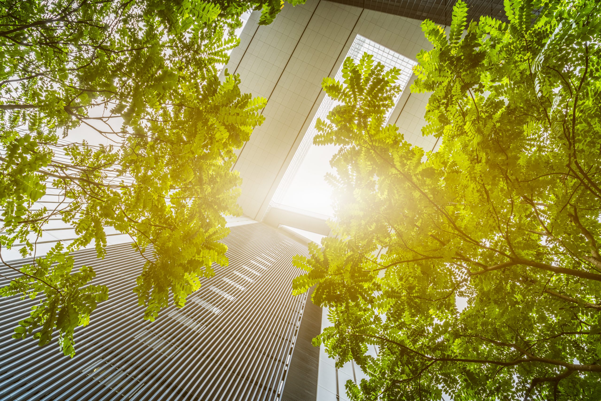 Rexel Successfully Completes Its First Sustainable Bond Offering Rexel rexel-successfully-completes-its-first-sustainable-bond-offering-rexel